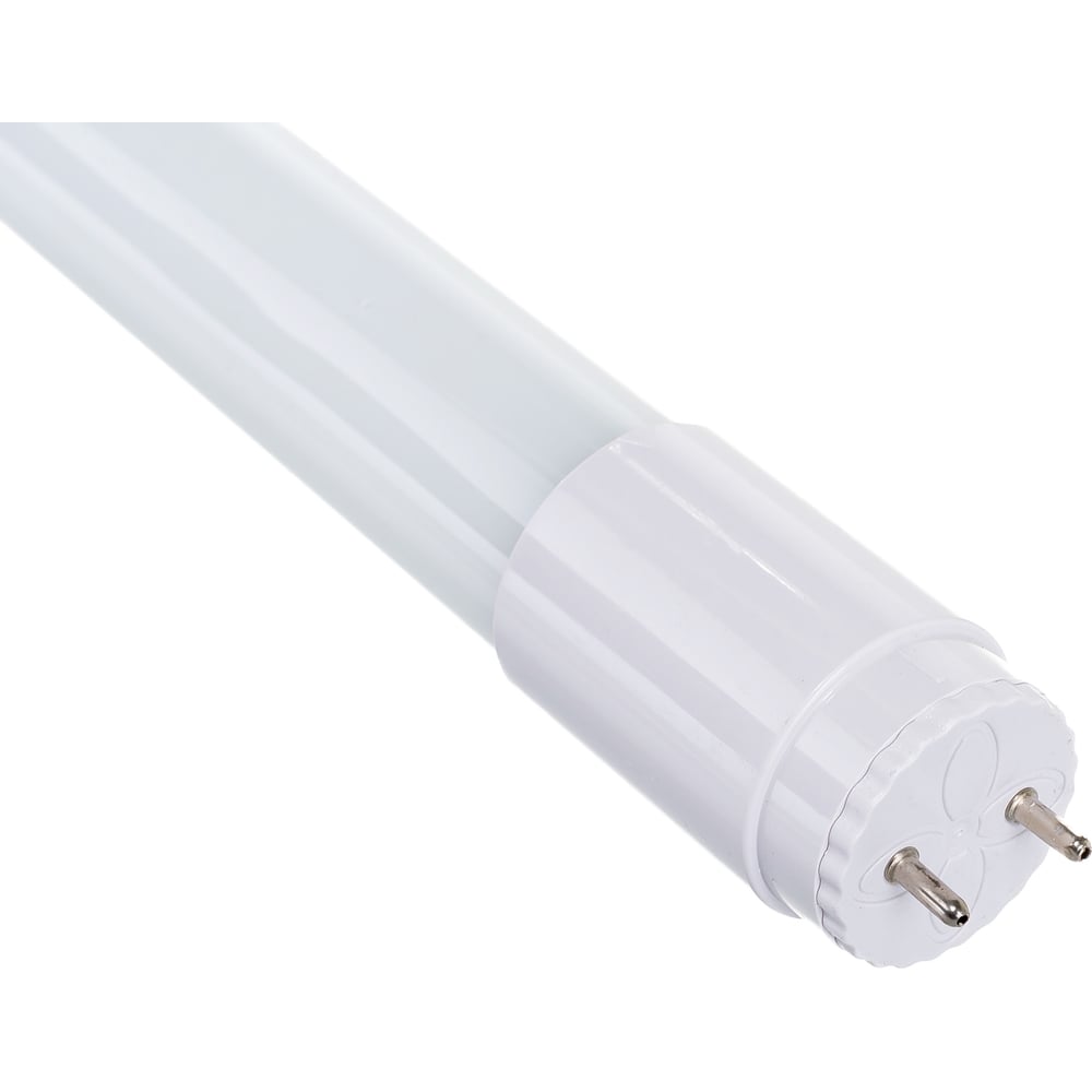 Светодиодная лампа ASD LED-T8R-1565М-600-std 15Вт, 230В, G13R, 6500К ...