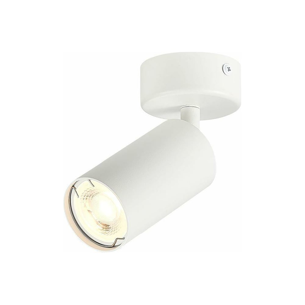 Потолочный светильник ST LUCE DARIO ST303.502.01 - выгодная цена ...