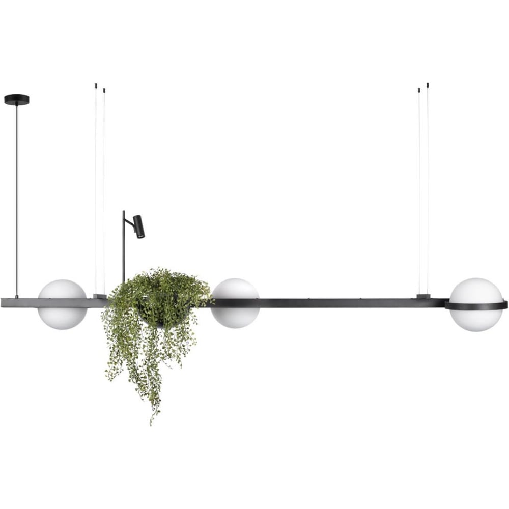 Подвесной светильник LOFT IT Jardin 10121/C - выгодная цена, отзывы ...