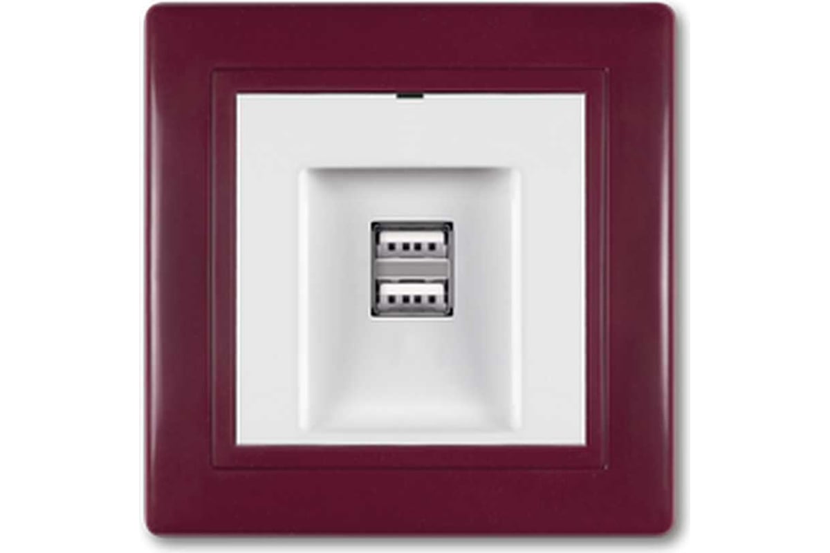 Розетка Aling-Conel PRESTIGE USB-зарядное устройство, двойная 2xUSB А+А ...