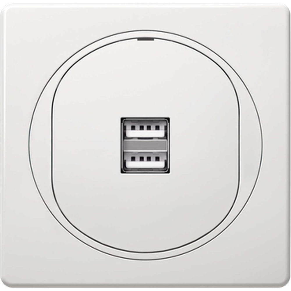 Розетка Aling-Conel EON USB-зарядное устройство, двойная 2xUSB А+А 250V ...