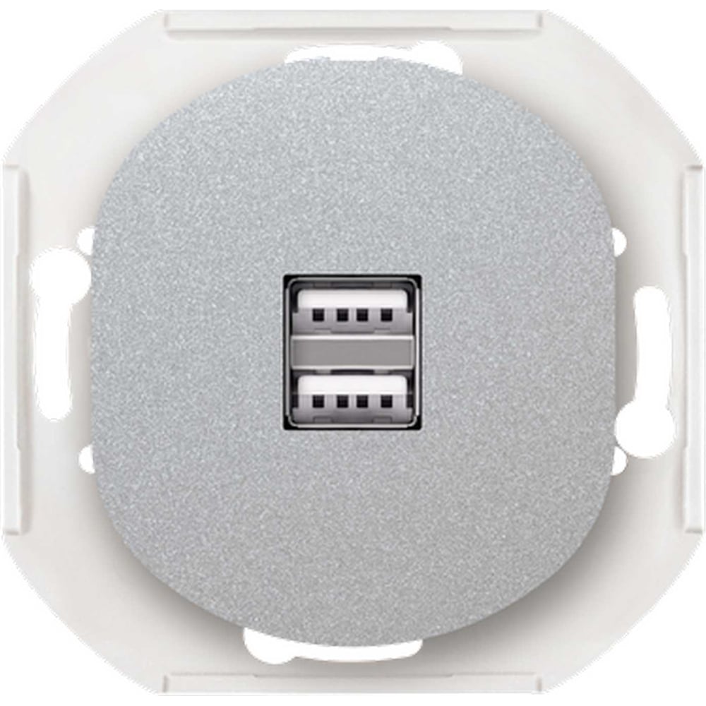 Розетка Aling-Conel EON USB-зарядное устройство, двойная 2xUSB А+А 250V ...