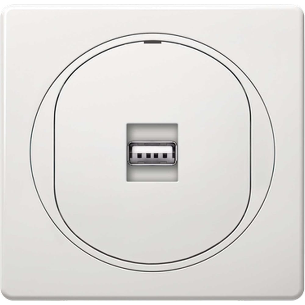 Розетка USB Aling-Conel EON тип А, с Keystone модулем, белая E6162.00 ...