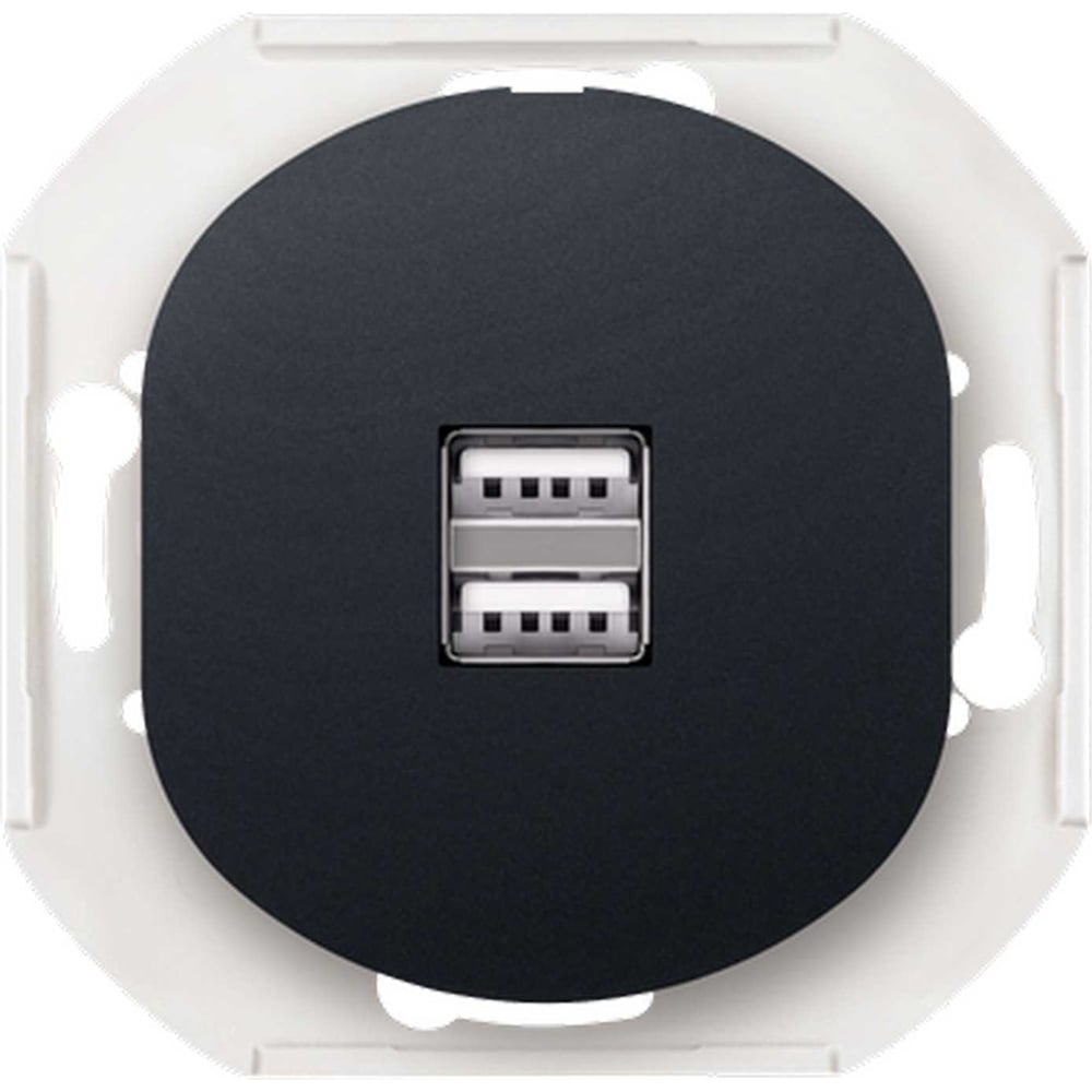 Розетка Aling-Conel EON USB-зарядное устройство, двойная 2xUSB А+А 250V ...