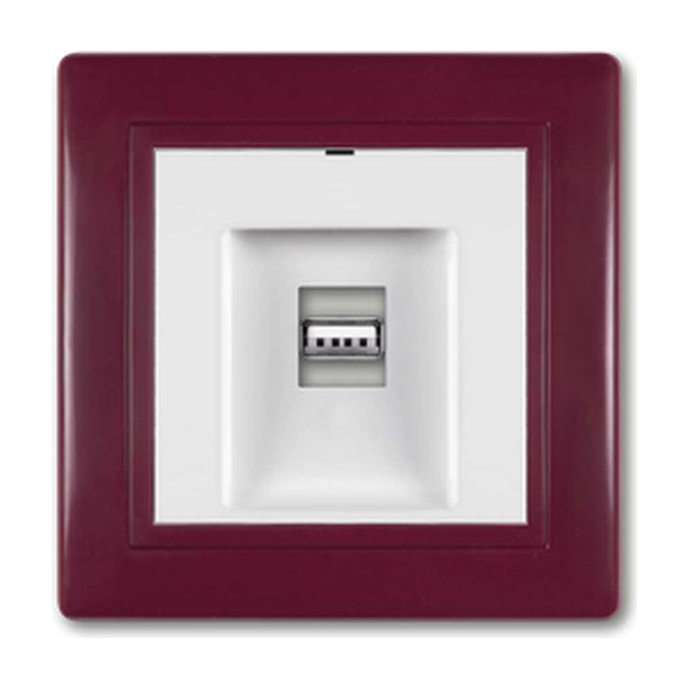 Розетка USB Aling-Conel PRESTIGE тип А, с Keystone модулем, бордо-бордо ...
