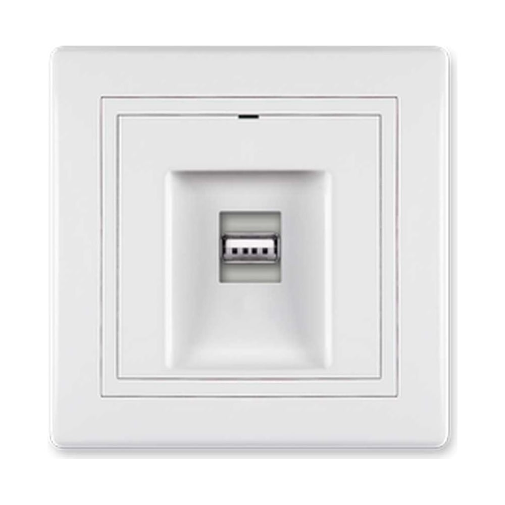 Розетка USB Aling-Conel PRESTIGE тип А, с Keystone модулем, белая 6162. ...