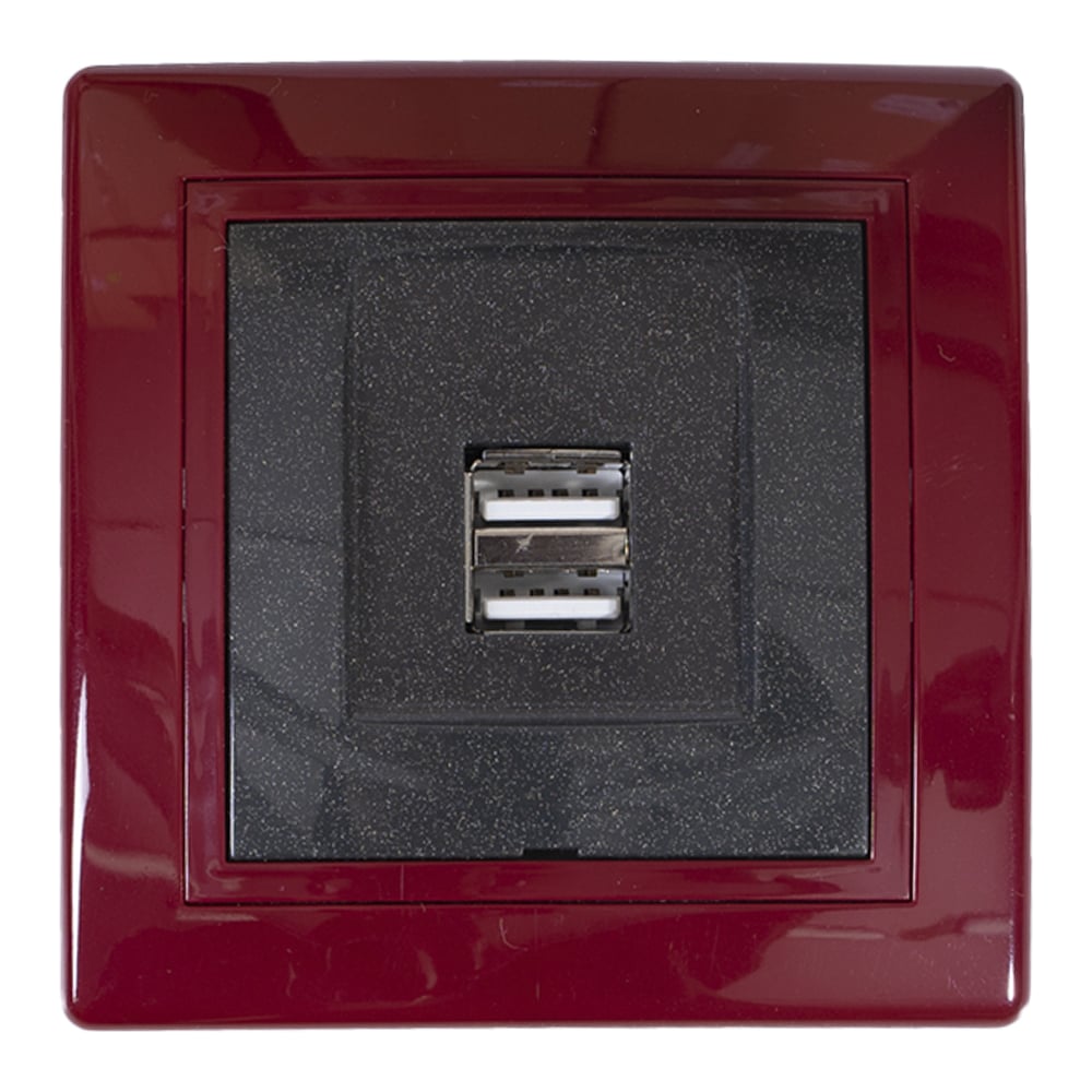 Розетка Aling-Conel PRESTIGE USB-зарядное устройство, двойная 2xUSB А+А ...
