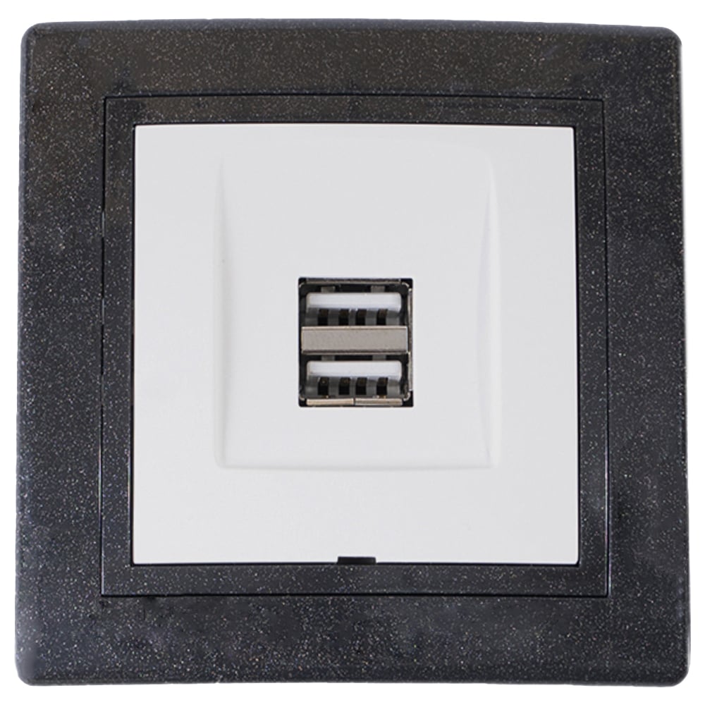 Розетка Aling-Conel PRESTIGE USB-зарядное устройство, двойная 2xUSB А+А ...