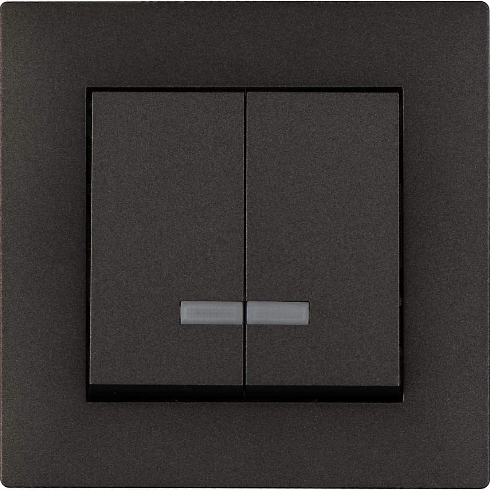 Выключатель MAKEL 2-клавишный СП KAREA RIZZ 10А IP20 с подсветкой дым. металлик 88050023 ...