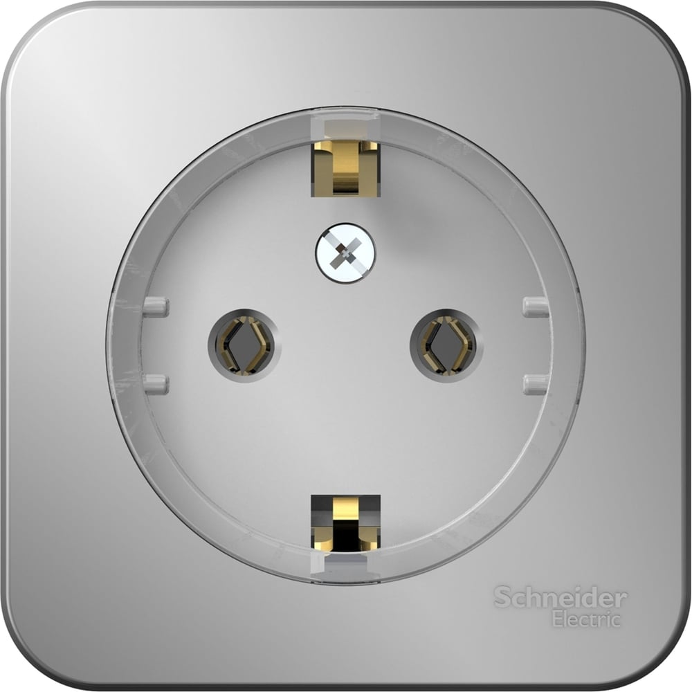 Наружная розетка Systeme Electric Blanca Алюминий, с заземлением, без ...
