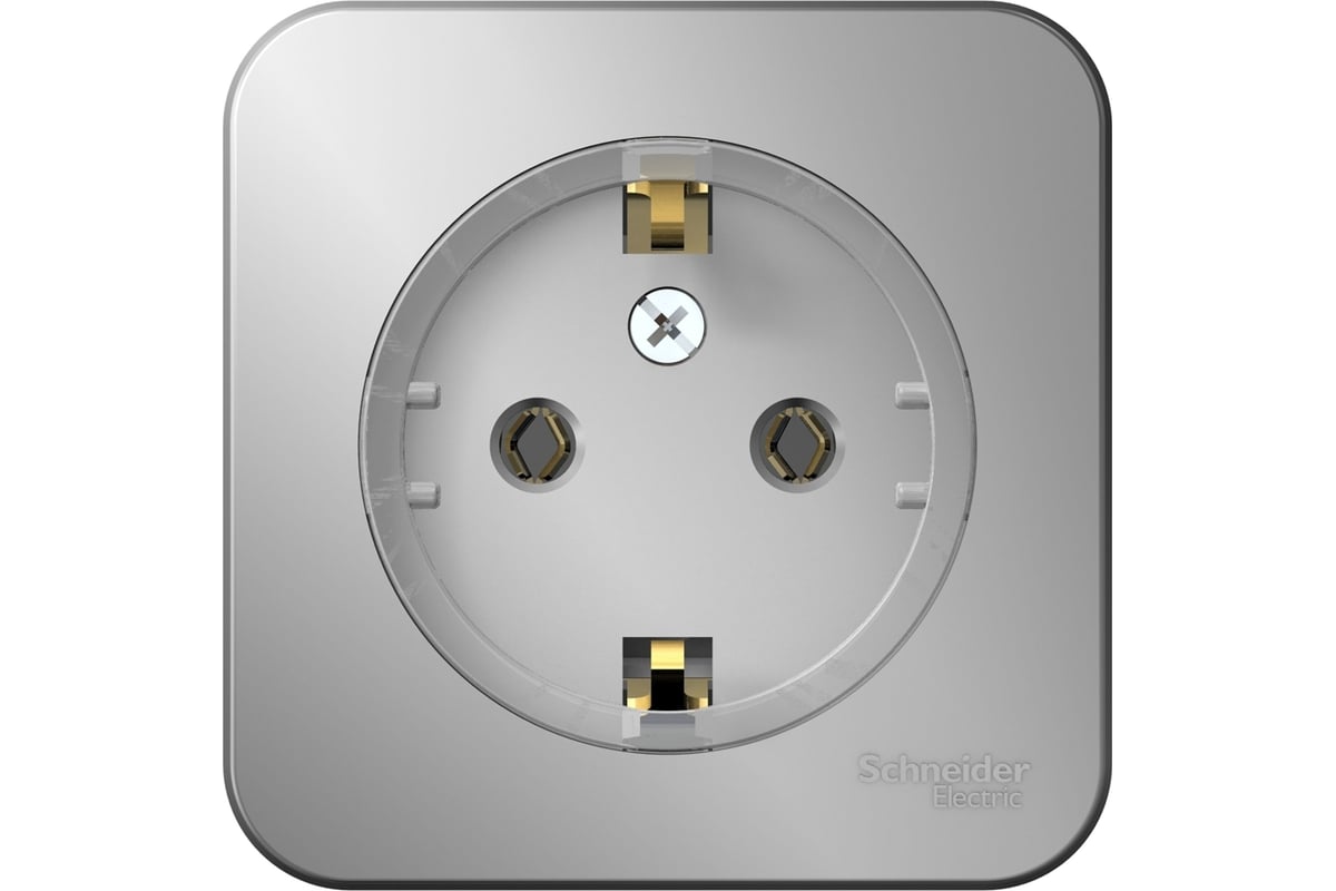 Наружная розетка Systeme Electric Blanca Алюминий, с заземлением, без ...