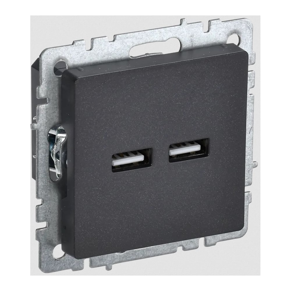 Розетка USB IEK Brite a+a 5в 3,1а рю10-1-брч черный BR-U21-D31-K02 - выгодная цена, отзывы ...