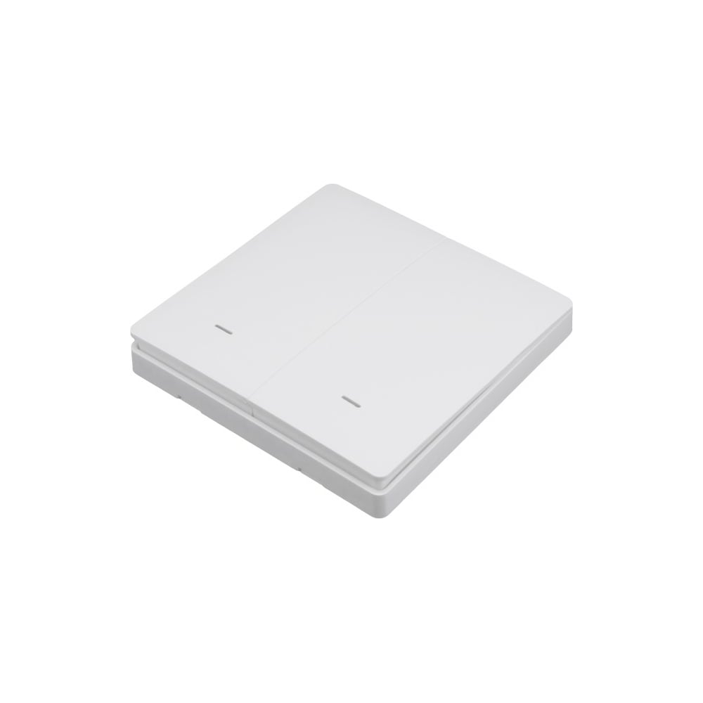 Портативный выключатель GEOZON PS-02 для модуля WR-01 2-канальный ...