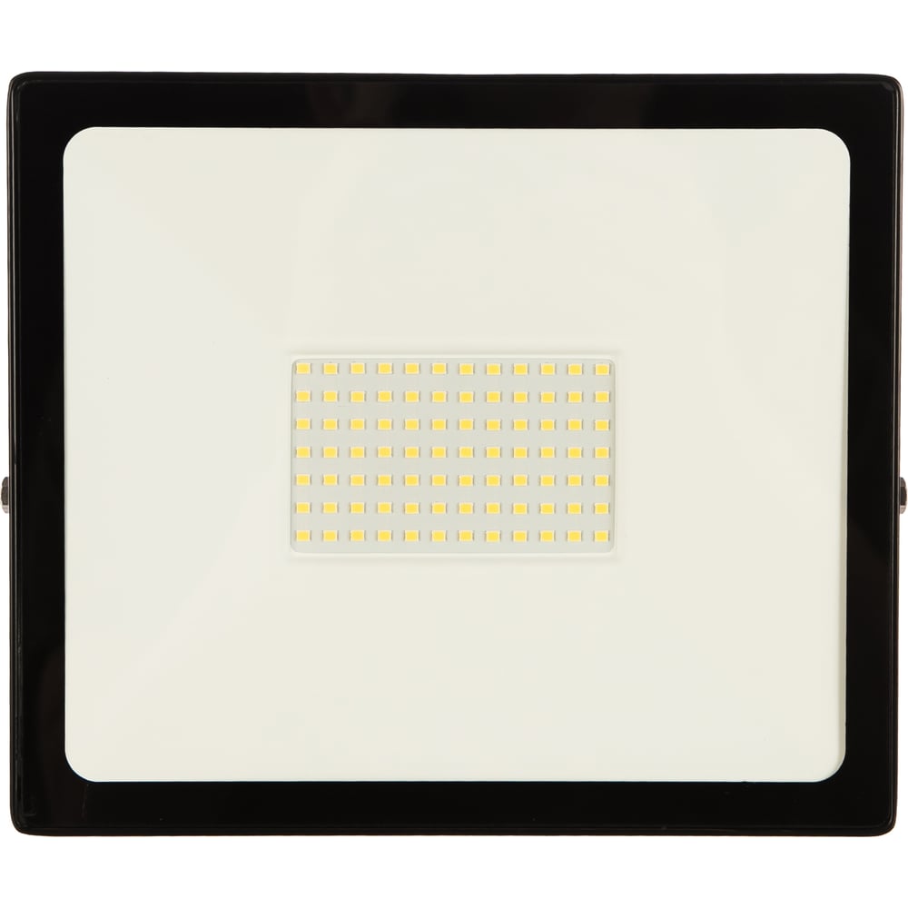 Светодиодный прожектор Smartbuy LED FL SMD LIGHT 100W, 6500K, IP65 SBL ...