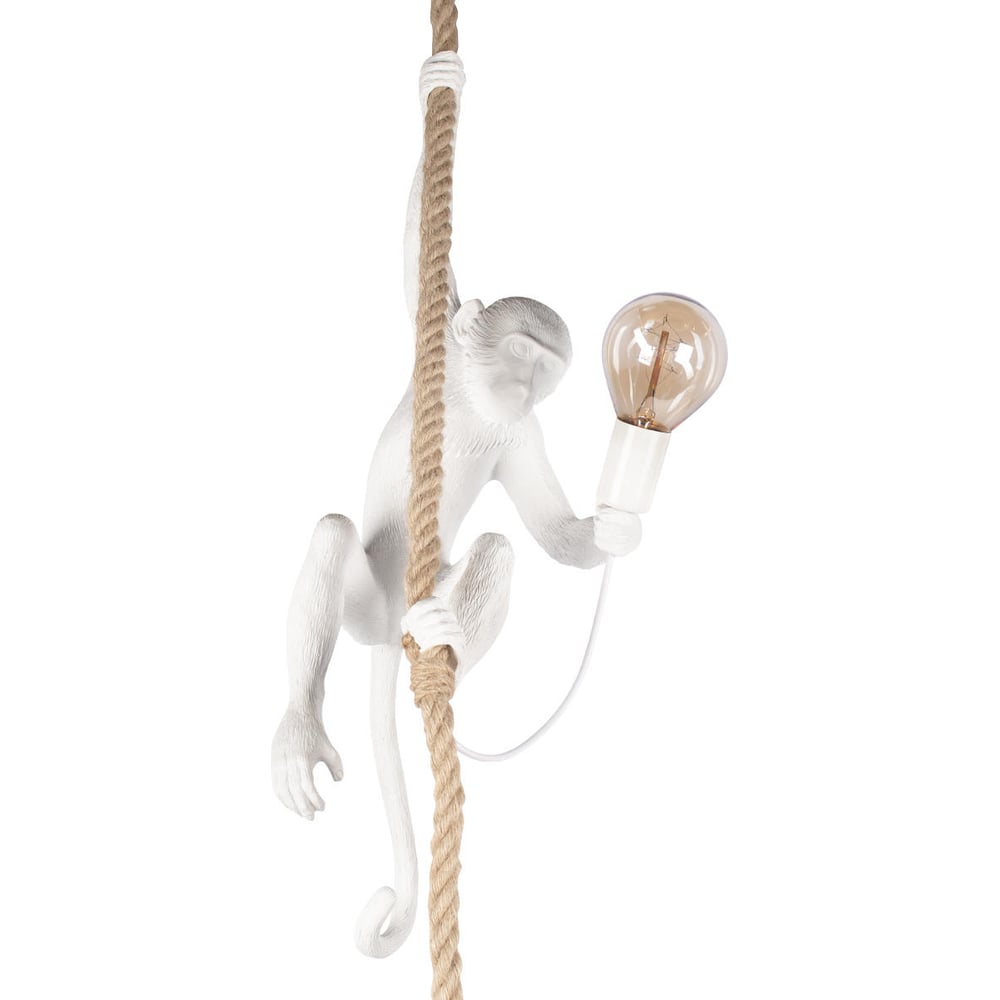 Подвесной светильник LOFT IT Monkey 10314P - выгодная цена, отзывы ...