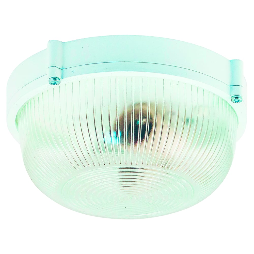 Светильник ЭЛЕТЕХ Банник 1301 Круг малый НПП 03-60-013 IP65 матовый ...