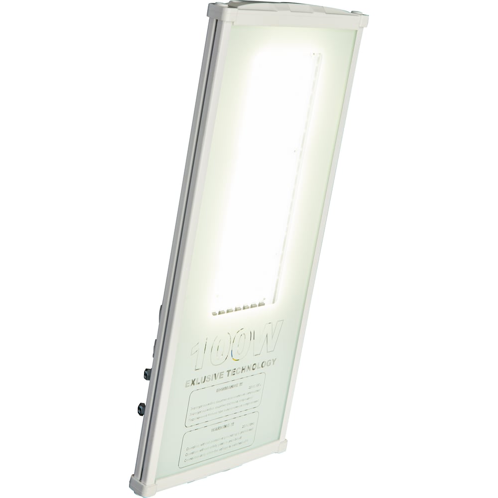 Светильник INCOME LIGHT CCO 430 1 100 Вт IP65 ECO Street ДРЛ 250 ...