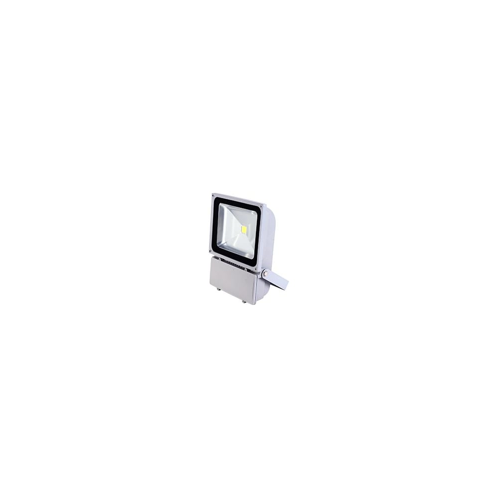 Светодиодный прожектор Glanzen FAD-0100-00 00-00000329 - выгодная цена ...
