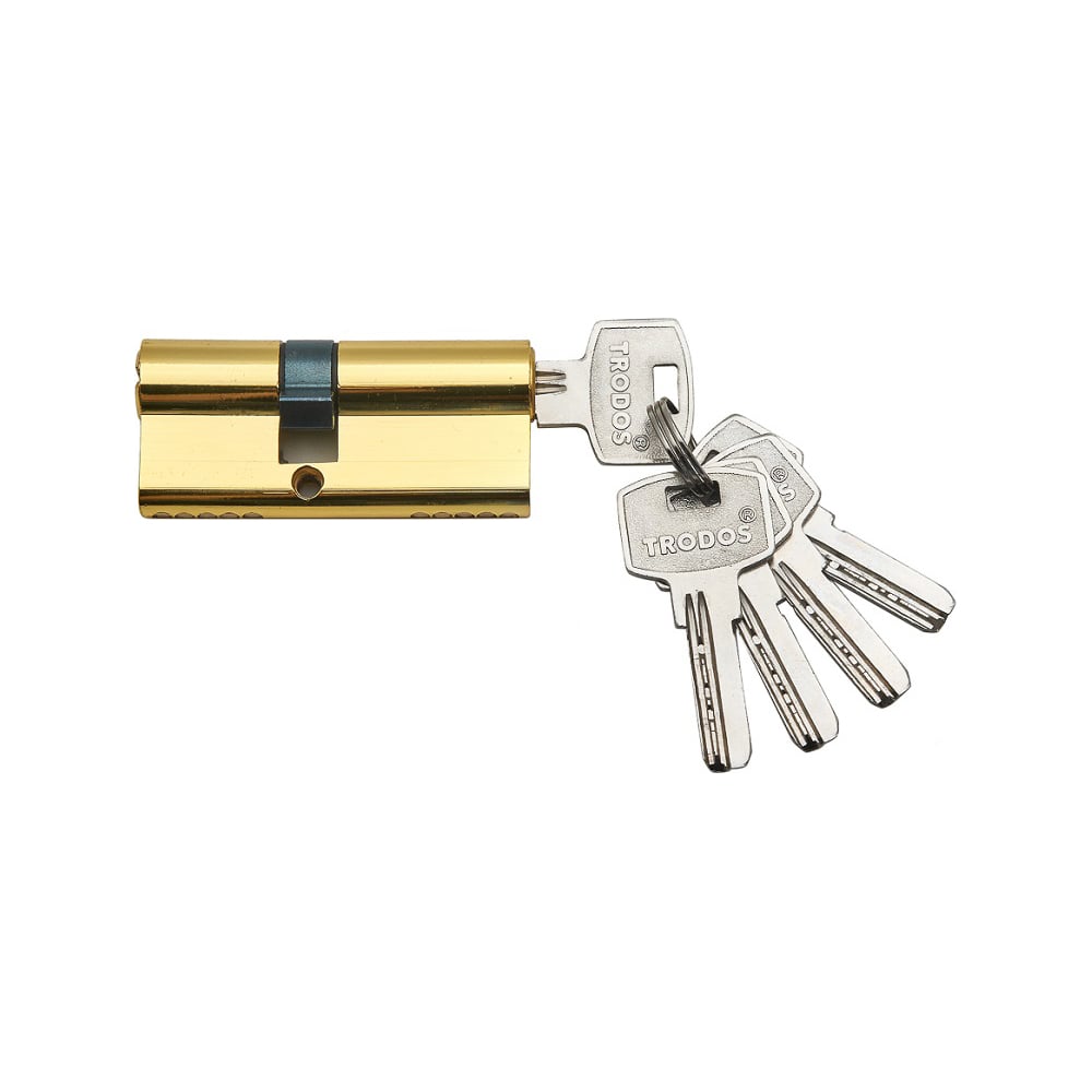 Цилиндр Trodos ЦАМ ЦМП 70, 30/40-5K PB золото 208108 - выгодная цена ...