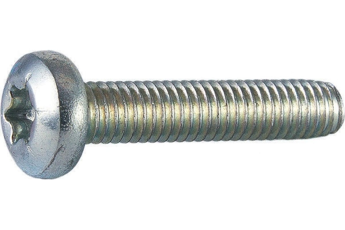 Резьбовыдавливающий винт ЦКИ DIN 7500C, М3x6, A2, TX 10, 100 шт. 55063 ...