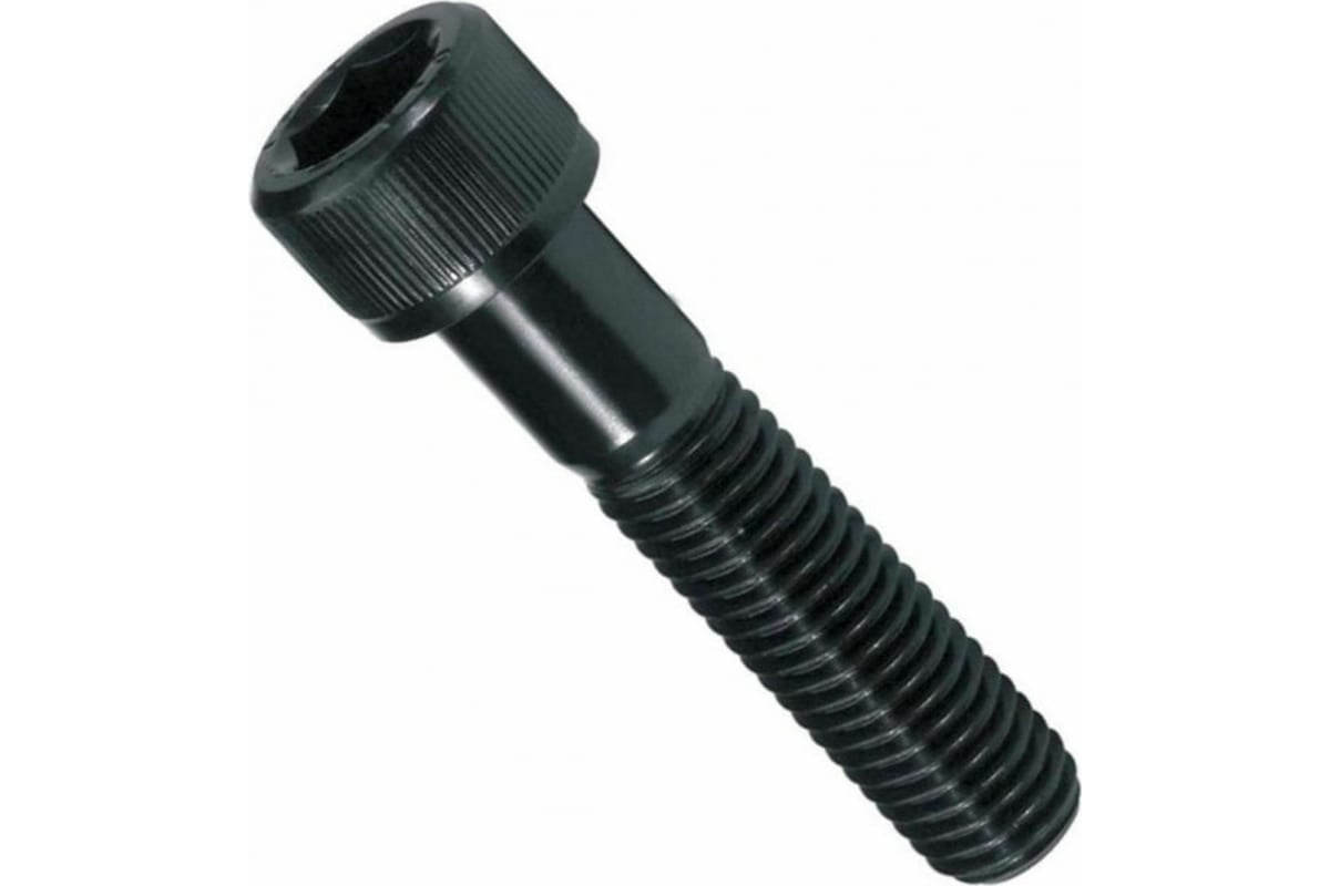 Винт ЦКИ DIN 912, М24x150 12.9, ОКС, HEX 19 1 шт. 20051 - выгодная цена ...