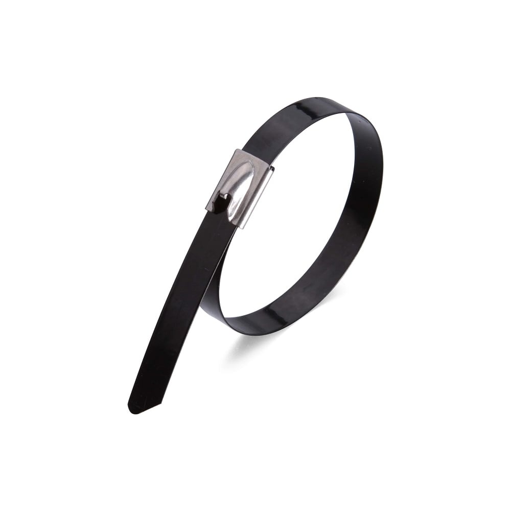 Стальные стяжки с покрытием FORTISFLEX СКС-П 304 4,6х100 79375 ...