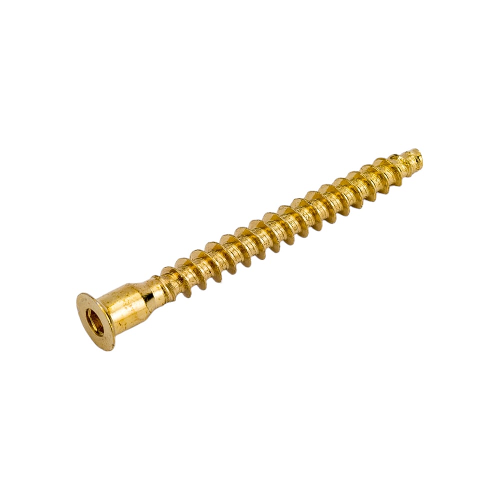 Меб. шуруп-стяжка ЕВРОПАРТНЕР латунир., 7x70 мм, 10 шт. 6 1631 4 ...