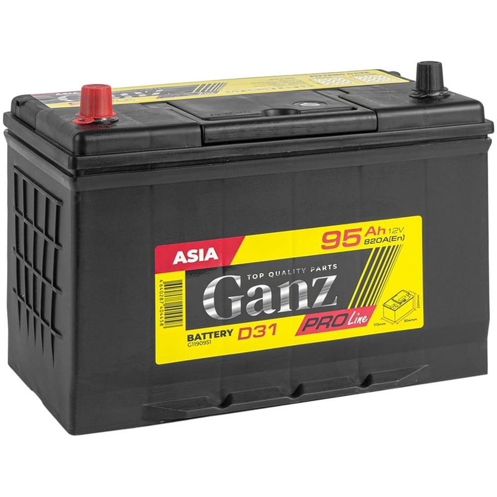 Аккумулятор GANZ PRO-Line JIS 95 А/ч прямой L+ 304x173x220 D31 EN 820 А G1190951 - выгодная цена ...
