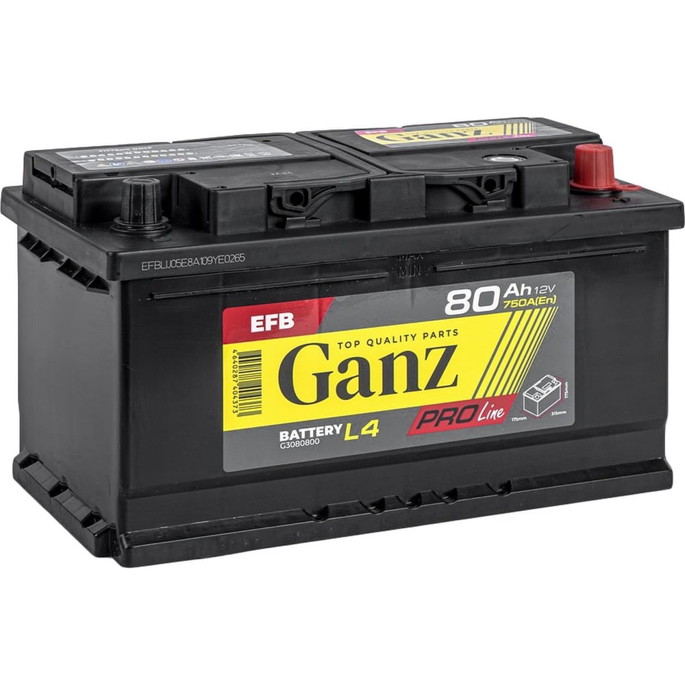 Аккумулятор Ganz PRO-Line EFB 80 А/ч обратный R+ 315x175x175 L4 EN 750 А G3080800 - выгодная ...