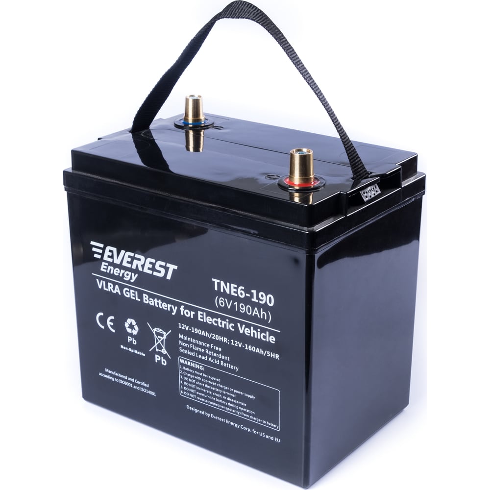 Тяговая аккумуляторная батарея EVEREST Energy TNE 6-190 - выгодная цена ...
