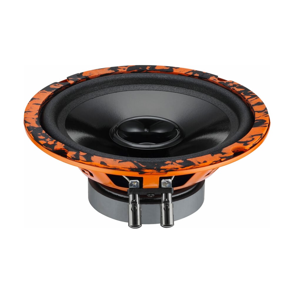 Акустическая система DL AUDIO Gryphon Lite 165 2016002 - выгодная цена ...