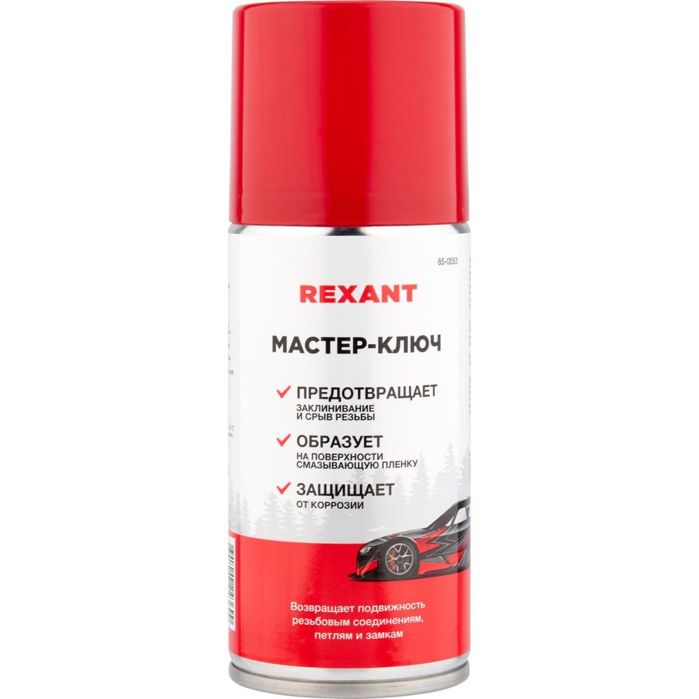 Мастер-ключ REXANT, 210 мл 85-0053 - выгодная цена, отзывы, характеристики, фото - купить в ...