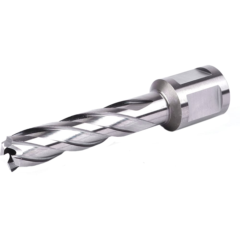 Фреза кольцевая №10 (18х55/88 мм; WELDON19; HSS M2) Профоснастка ...