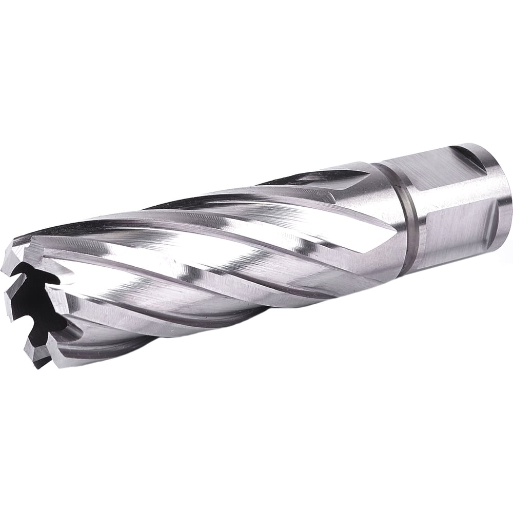 Фреза кольцевая №13 (20х55/88 мм; WELDON19; HSS M2) Профоснастка ...