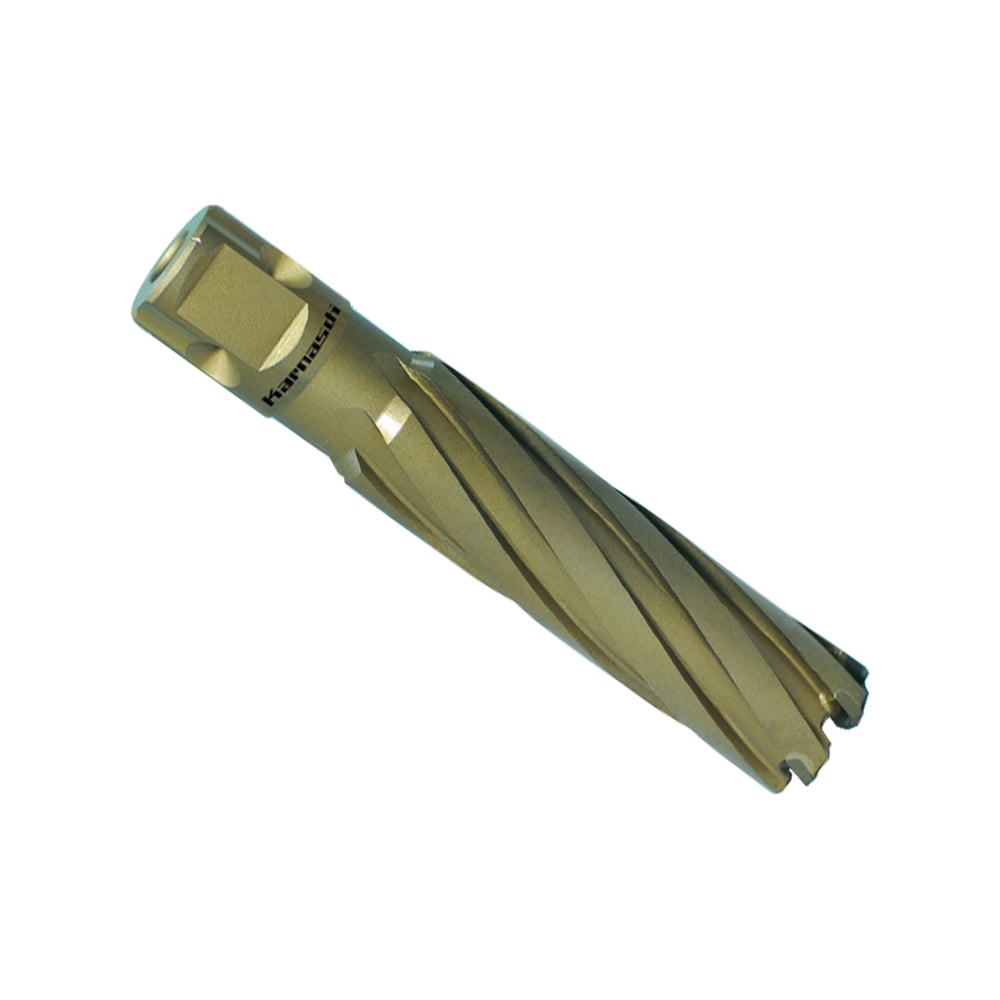 Сверло корончатое Karnasch 21x80 HARD-LINE 20.1650N-21 - выгодная цена ...