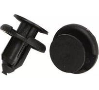 Автомобильные клипсы и пистоны - купить по выгодной цене от 9 рублей ...