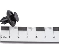 Автомобильные клипсы и пистоны - купить по выгодной цене от 9 рублей ...