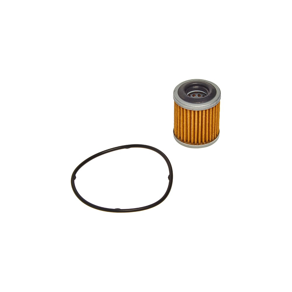 Фильтр АКПП (картридж) DFT332CF Double Force 1719275 - выгодная цена ...