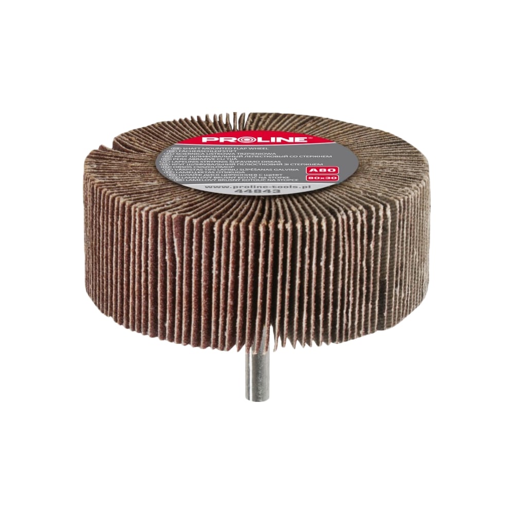 Шлифовальный лепестковый круг Proline 80х30 мм P80 44843 - выгодная ...