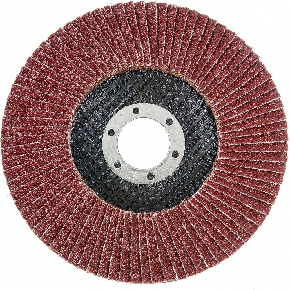 Круг лепестковый торцевой (125х22.2 мм; P40) Vira 559140 - выгодная ...