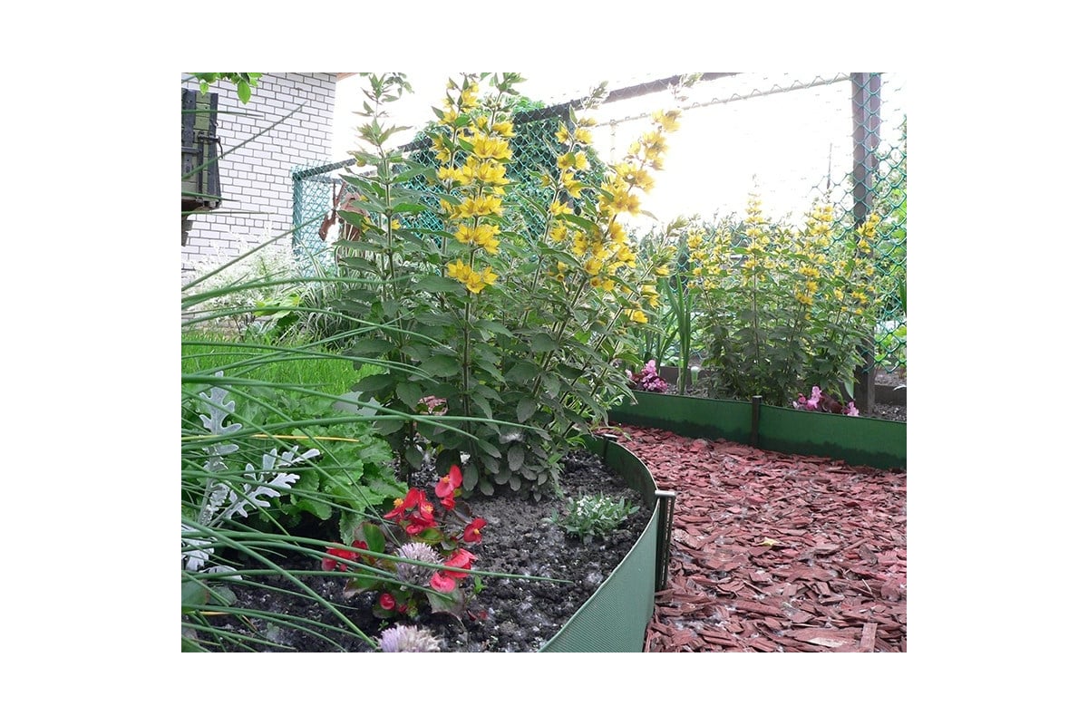 Бордюрная лента ПРОТЭКТ 30 м, хаки Б-15/30 х - выгодная цена, отзывы ...