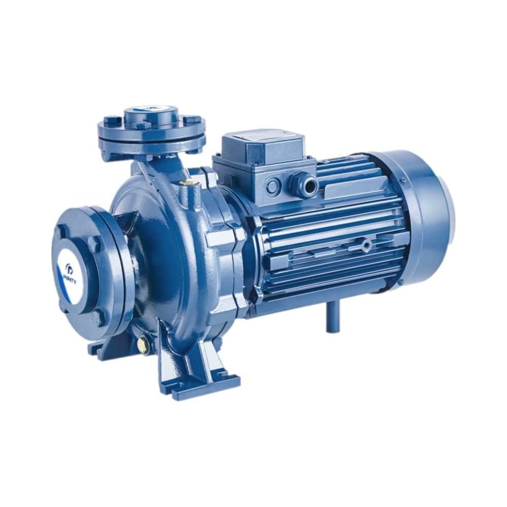 Моноблочный фланцевый насосный агрегат Purity PSTC 40-125/11 (N ...