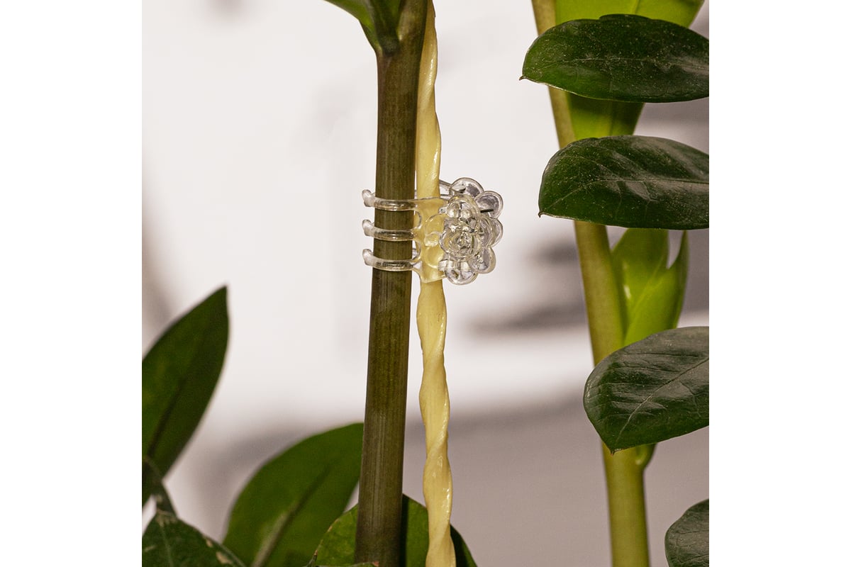 Клипса для орхидей MasterProf 6 шт ДС.071913 - выгодная цена, отзывы, характеристики, фото ...