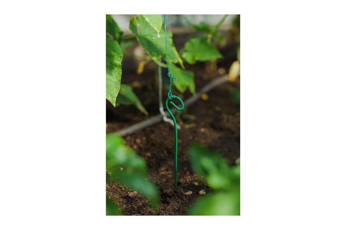 Проволочный колышек для подвязки растений Greengo 70 см 2083089 ...