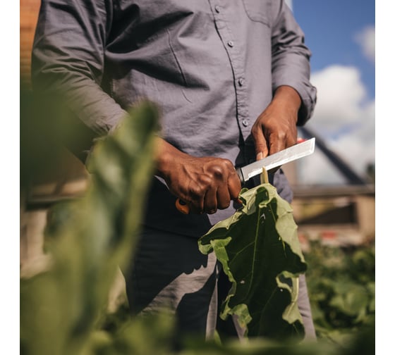 Садовый нож Fiskars K82 X-series 1062830 - выгодная цена, отзывы, характеристики, фото - купить ...