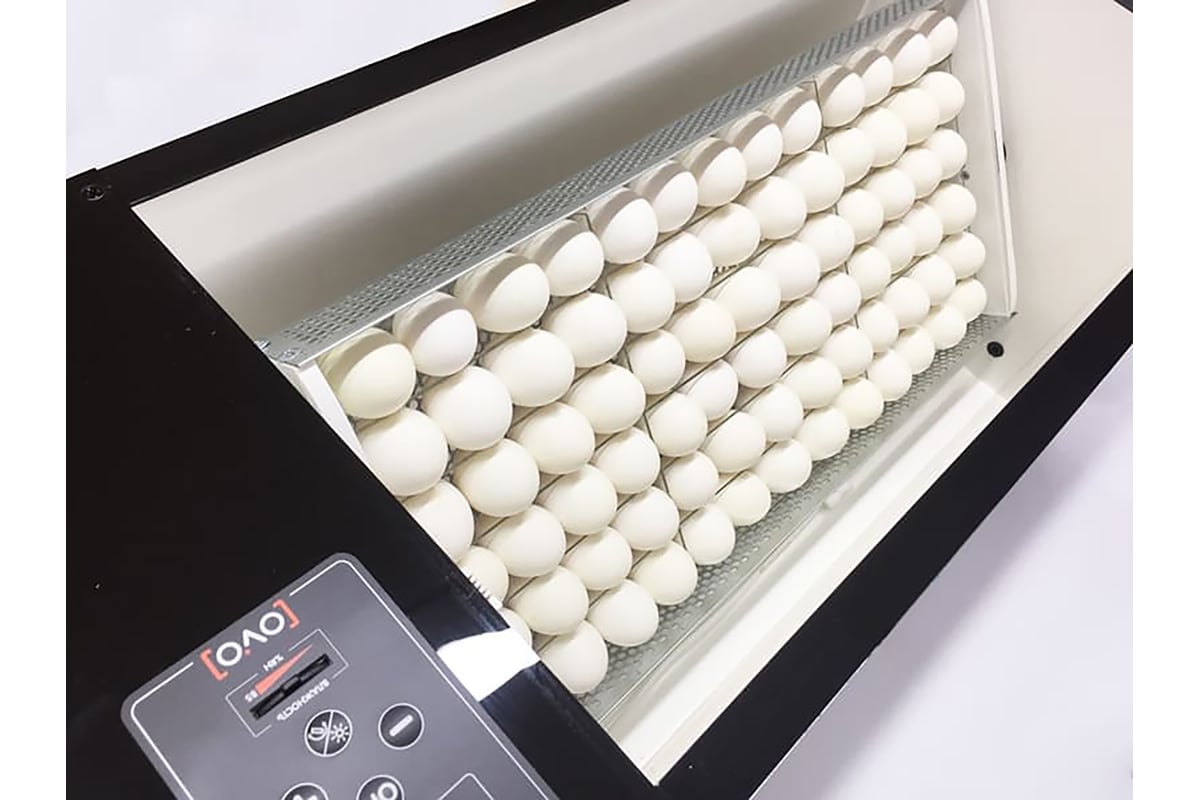 Система перегородок для лотка инкубаторов OVO-78 и OVO-156 OVO 00000000006 - выгодная цена ...