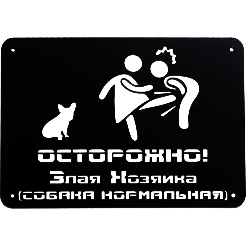 Табличка ООО СКП Осторожно злая хозяйка 30х21 см сталь порошковое