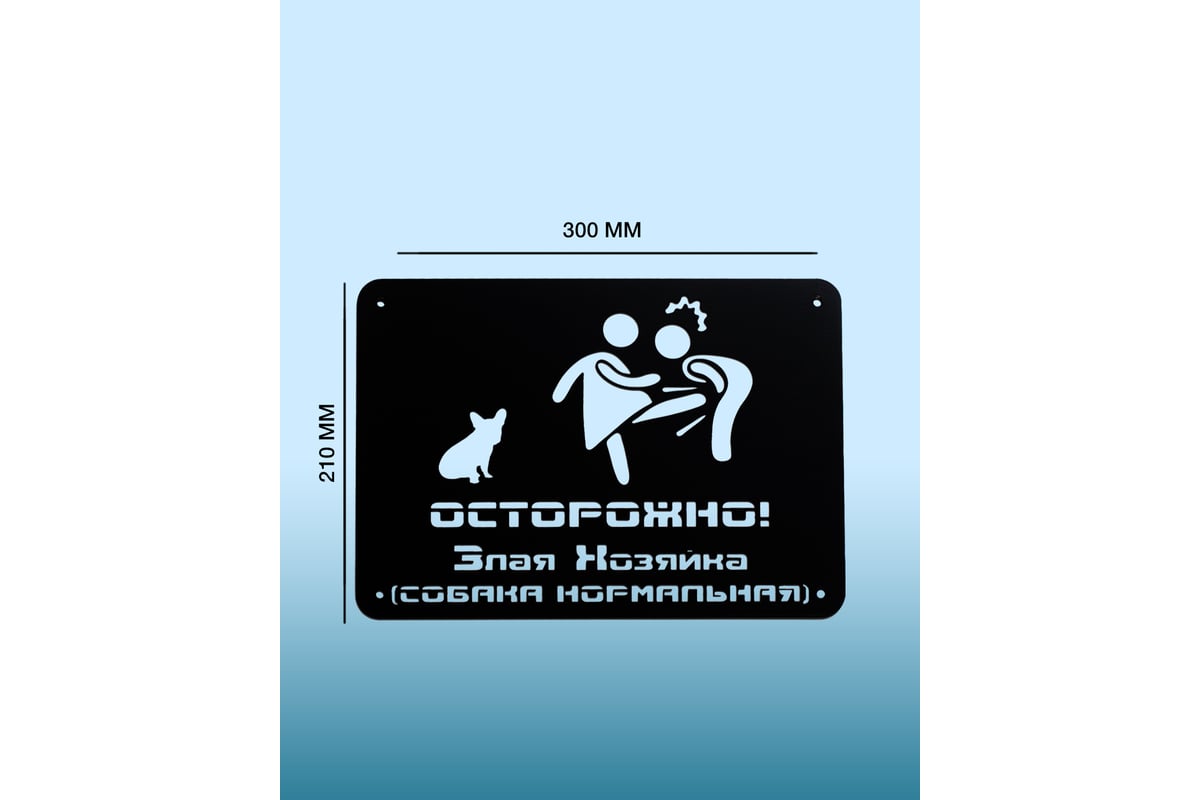 Табличка ООО СКП Осторожно злая хозяйка 30х21 см сталь порошковое
