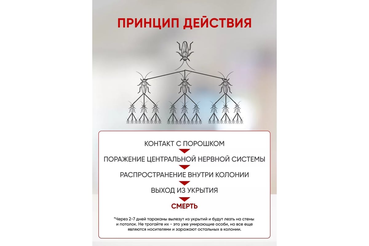 Тиурам от тараканов Сила Суздаля 200 г 4630249442475 - выгодная цена ...