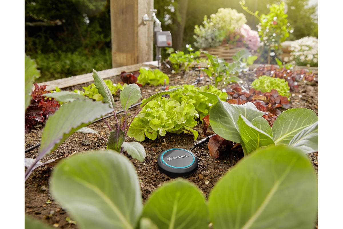 Датчик влажности почвы Gardena 01867-20.000.00 - выгодная цена, отзывы ...